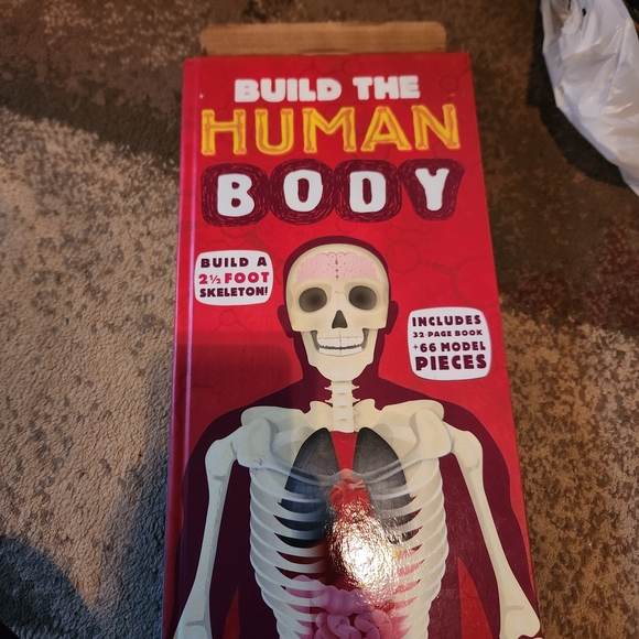 Toys | Build The Human Body Model Kit | Poshmark